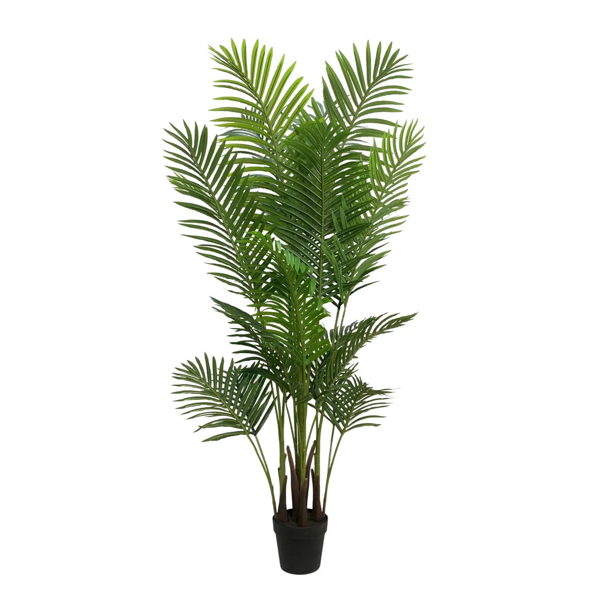Premium Artificial Areca Palm Tree Real Touch 160cm – Coastalcharm24